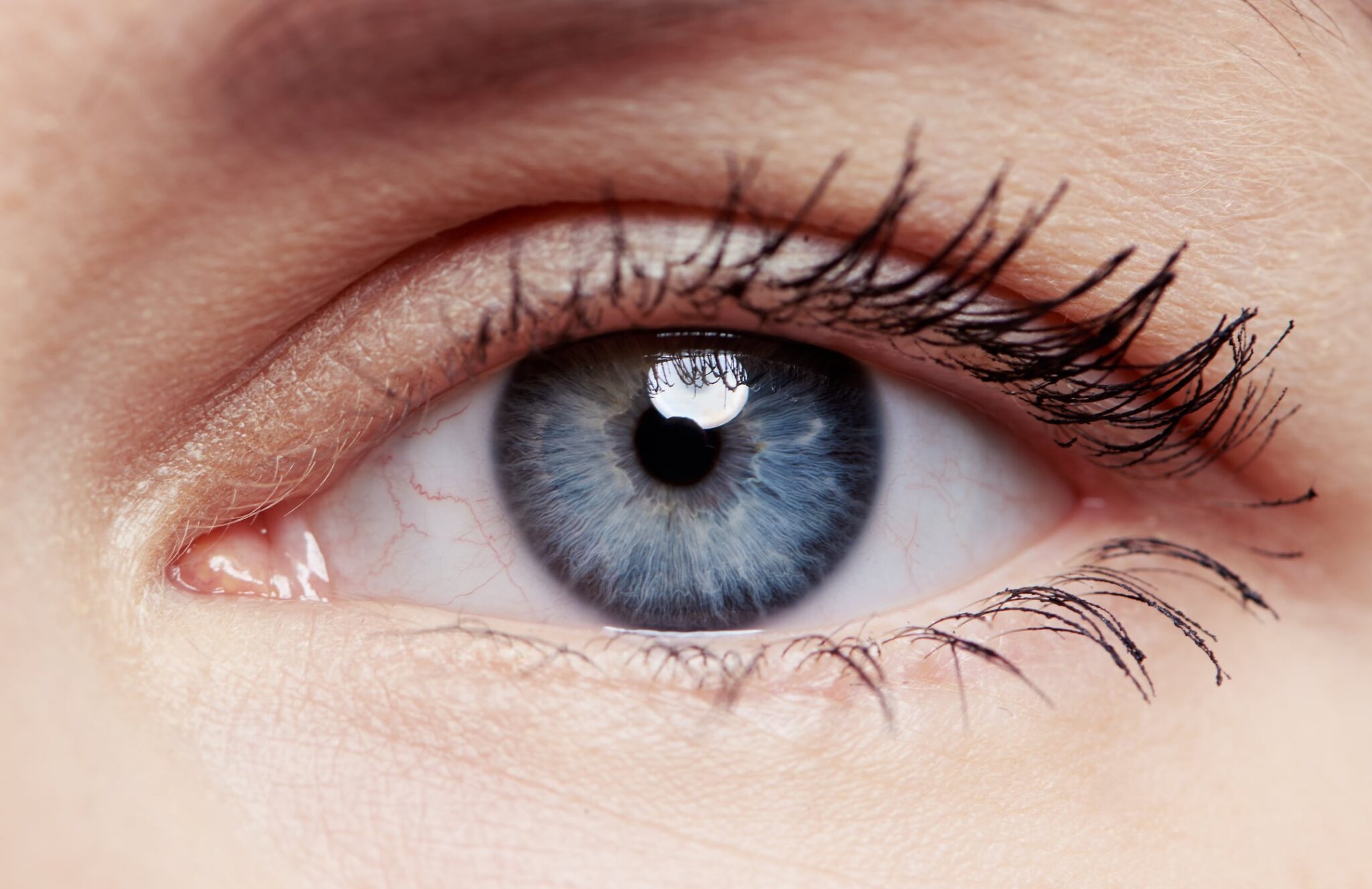 Corneal Biopsy in Albany, NY | Center For Eye Care Excellence Of Albany